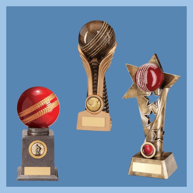 Cricket Trophies | Fen Regis Trophies