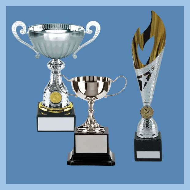 School Trophies | Fen Regis Trophies
