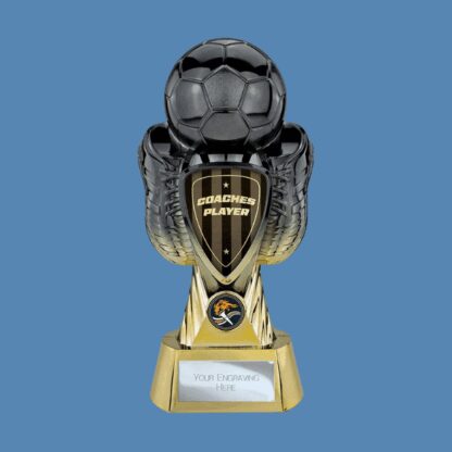 Tournament Heavyweight Coaches Player PX26125