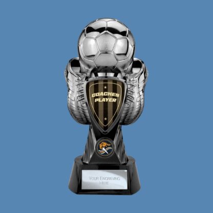 Tournament Heavyweight Coaches Player PA26125